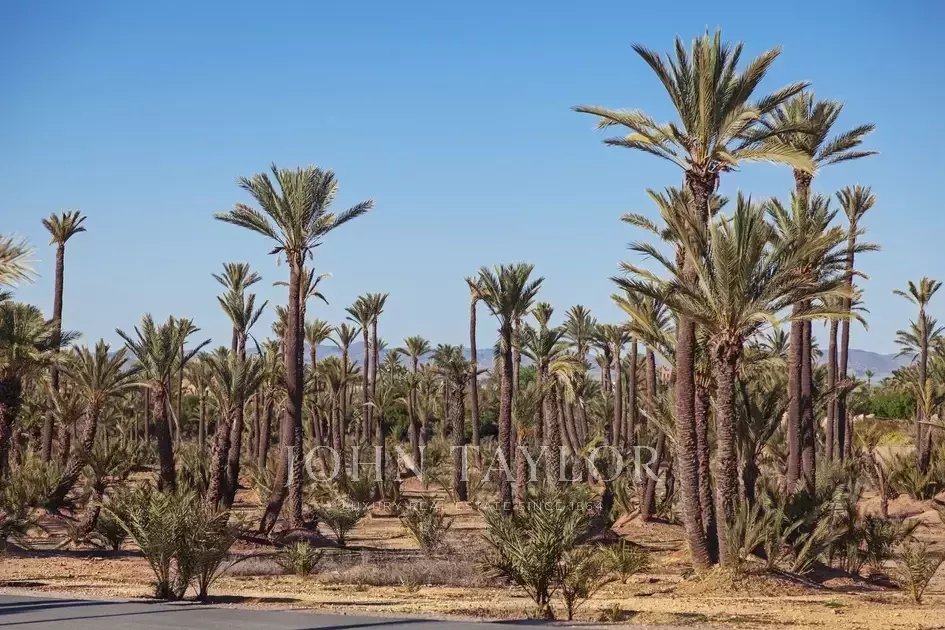 Annonce Vente Terrain constructible Marrakech Palmeraie (40000) ref:V0256MK